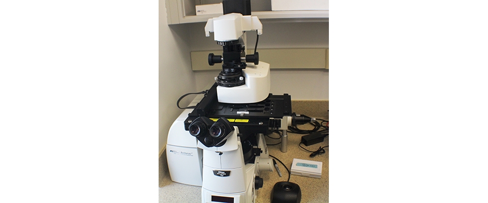 Laser Capture Microscope (Applied Biosystems Arcturus LCM System with a ... Laser Capture Microscope (Applied Biosystems Arcturus LCM System with a ...